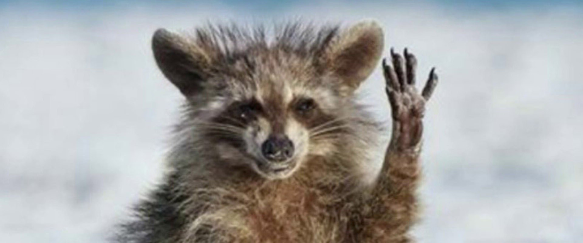 Capture the Beauty of Wildlife in Nashville, Tennessee